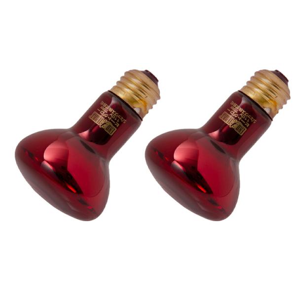 メーカー：ジェックス gex　heaterhon　ybrand_code　亀・爬虫類　保温球　レプティ　Repti_spot　20100518　MI　hoon_a　denkyu_60　kbnep48　ＭＫ　20120221　kame_bon...