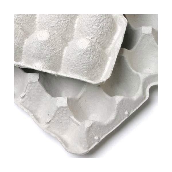 メーカー：(株)リーフ Leaf Corp _kame　_hachu　_insect　昆虫用品　ミルワーム　卵トレー　４５×２９ｃｍ　１０個セット　昆虫　コオロギ　飼育　ハウス　ケース　20130910　ＫＫ　szmstl1405　卵パック...