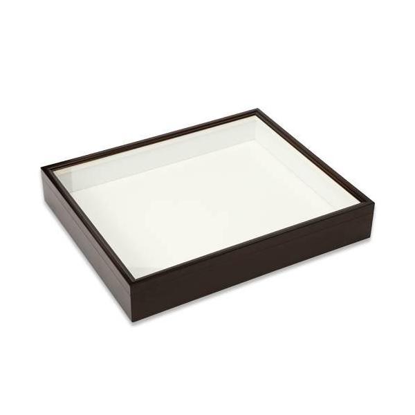 メーカー：バードウィング sfset　_insect　昆虫用品　昆虫　カブト　クワガタ　標本　標本箱　バードウィング　バードウィング製　ドイツ型標本箱　ＢＷ８０　幅５０．７×奥行き４１．８×高さ８ｃｍ　標本用品　ドイツ箱　蝶　蛾　甲虫　標本...