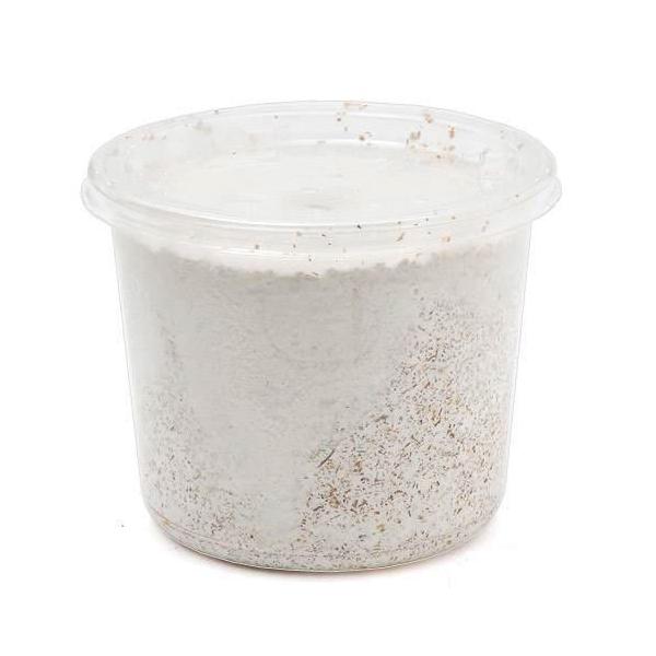 メーカー：(株)リーフ Leaf Corp coollogist　夏季クール対応　昆虫用品　kuwagatayotyuugood　飼育用品　ＸＬシリーズ　xlcup　カブト・クワガタ・用品　菌糸ビン　hiratake　菌糸ビンcup　菌糸ビ...