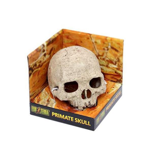 メーカー：ジェックス tmKPkin　GEX　ジェックス　−　スカル　爬虫類　両生類　シェルター　トカゲ　ヘビ　カエル　テラリウム　20130620　ＭＹＴ　kame_top8_140806　4972547026132　エキゾテラ　exot...