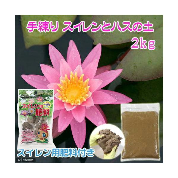 _gardening　手練りスイレンの土　スイレン用肥料付き　ガーデニング　スイレンとハスの土　園芸用品　水辺植物　スイレン　ハス　睡蓮　蓮　土　手練り　肥料　20140311　YMS　rkmr6_pd10_teneri　植物　植物生体　ガ...