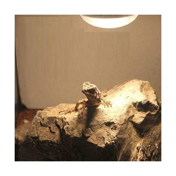 形状お任せ　爬虫類用バスキングスポット　〜ウォーム・ストーン〜　大　約１５〜２０ｃｍ　１個　爬虫類　レイアウト用品　流木　石　アクア用品　レイアウト素材　レイアウト　素材　熱帯魚　アクアリウム　パルダリウム　コケリウム　アクアテラリウム　水...