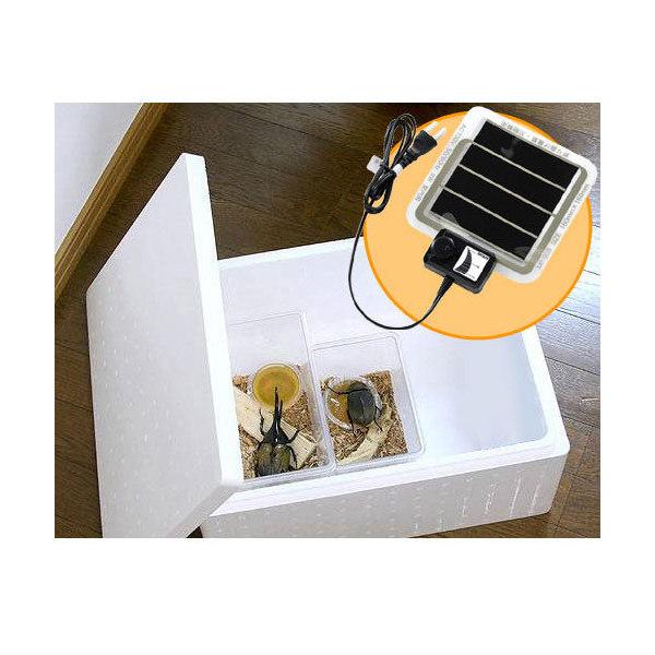 カブトムシ　クワガタ　冬　管理　越冬　保温　用品　昆虫　爬虫類　両生類　昆虫飼育セット　飼育保温セット　クワガタムシ　パネルヒーター　パネルウォーマー　発泡スチロール　20161028　ＴＮ　line22115int　y16m10