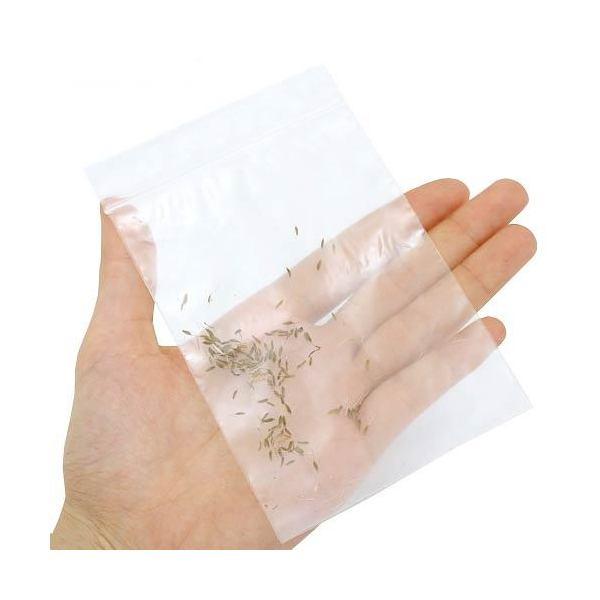 naisyoku_syukei　_animal　hwlist　090list　MS34　_gardening　ガーデニング　花　種子　１２コンテナ　たんぽぽ　山野草　Ｔａｒａｘａｃｕｍ　ｏｆｆｉｃｉｎａｌｅ　ｓｐｐ．　西洋たんぽぽ　セイヨウ...