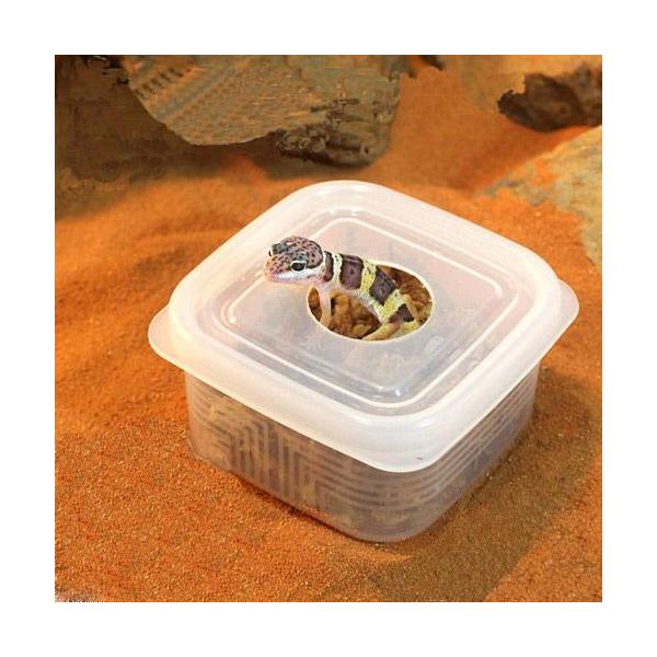 メーカー：(株)リーフ Leaf Corp _kame　MS34　亀・爬虫類　陸ガメ　爬虫類用品　シェルター　ウォーターシェルター　１２コンテナ　ヘビ　スネーク　脱皮　_hachu　ヤモリ　レオパ　ヒョウモントカゲモドキ　産卵　産卵床　ＨＩ...