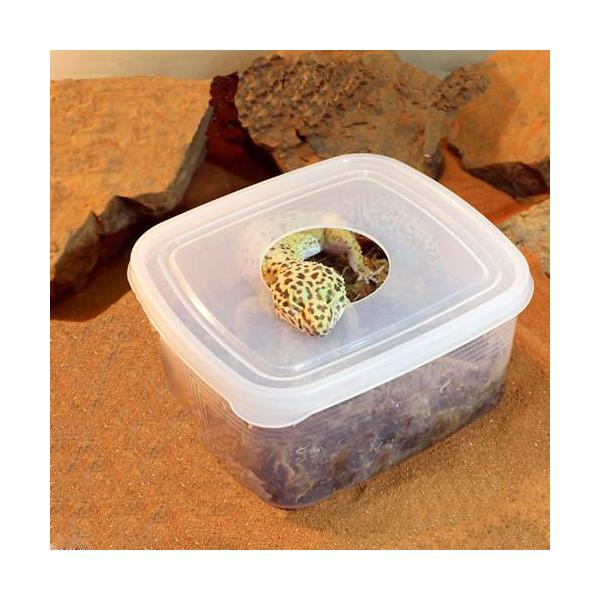 メーカー：(株)リーフ Leaf Corp _kame　MS34　亀・爬虫類　陸ガメ　爬虫類用品　シェルター　ウォーターシェルター　１２コンテナ　ヘビ　スネーク　脱皮　_hachu　ヤモリ　レオパ　ヒョウモントカゲモドキ　産卵　産卵床　ＨＩ...