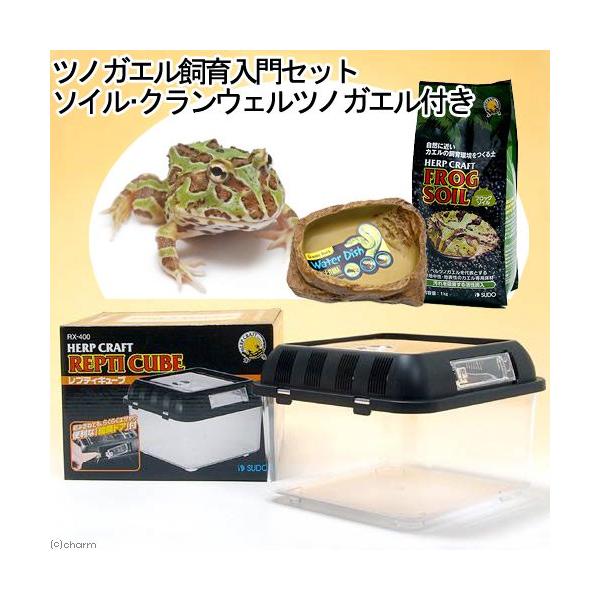 sfset　_hachu　亀・爬虫類　ケージ・ネット　ケージ　亀・爬虫類飼育セット　クランウェルツノガエル　飼育入門セット　水槽セット　飼育セット　ツノガエルセット　カエル飼育　初心者　入門　カエル　フロッグ　ＨＩＮ　20150206　Ce...