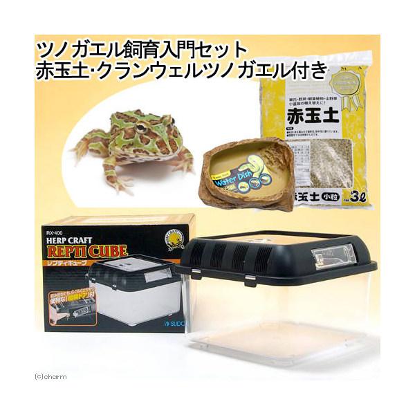 sfset　_hachu　亀・爬虫類　ケージ・ネット　ケージ　亀・爬虫類飼育セット　クランウェルツノガエル　飼育入門セット　水槽セット　飼育セット　ツノガエルセット　カエル飼育　初心者　入門　カエル　フロッグ　ＨＩＮ　20150206　両生...