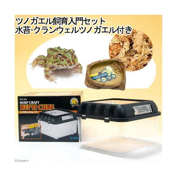 sfset　_hachu　亀・爬虫類　ケージ・ネット　ケージ　亀・爬虫類飼育セット　クランウェルツノガエル　飼育入門セット　水槽セット　飼育セット　ツノガエルセット　カエル飼育　初心者　入門　カエル　フロッグ　ＨＩＮ　20150206　QD...