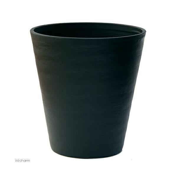 メーカー：明和株式会社 鉢　植木鉢　ガーデニング用品　left_taniku　_gardening　セラアート　長鉢　６号　黒　コーデックス　4580166880181　ガーデニング　園芸用品　プランター　１８ｃｍ　インテリア　花　サボテン...