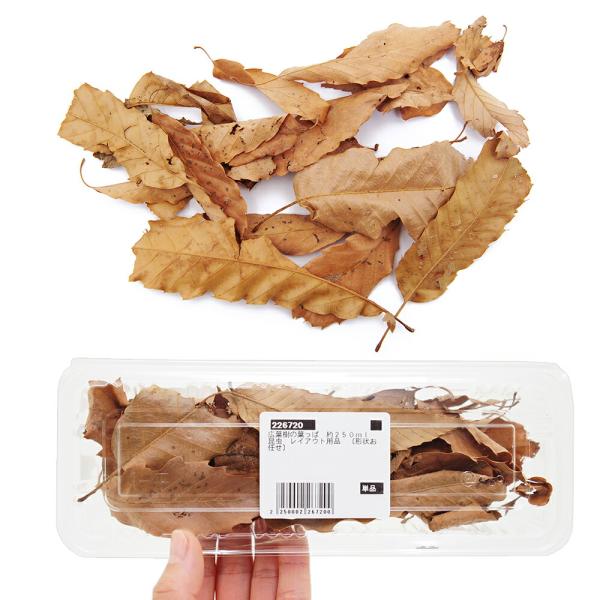 メーカー：(株)リーフ Leaf Corp paludarium　パルダリウム　テラリウム　熱帯魚・エビ他　_aqua　_hachu　_kame　_insect　▲昆虫用品　マット　発酵マット　カブト・クワガタ・用品　昆虫レイアウト　広葉樹...