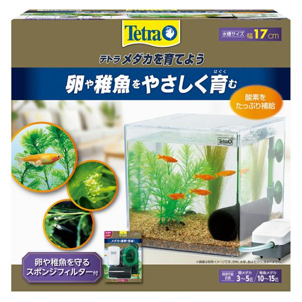 メーカー：テトラ tetramedaka　2007tttaqirm　テトラ　メダカを育てよう　4571269552518　73121　アクア用品　アクアリウム　水槽セット　スポンジフィルター　ブラスチック水槽　プラスチック　水槽　小型水槽　...