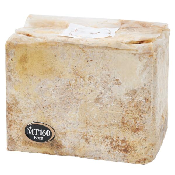 メーカー：微創研 菌糸ブロック　coollogist　夏季クール対応　昆虫用品　kuwagatayotyuugood　飼育用品　クワガタ　菌糸ビン　びそうけん　エムティー　アンタエウス　アンテ　オオヒラタ　ヒラタ　居食い　instop_ki...