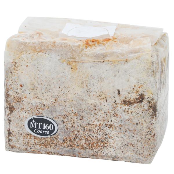 メーカー：微創研 菌糸ブロック　coollogist　夏季クール対応　昆虫用品　kuwagatayotyuugood　飼育用品　クワガタ　菌糸ビン　びそうけん　エムティー　アンタエウス　アンテ　オオヒラタ　ヒラタ　居食い　instop_ki...