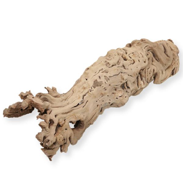 メーカー：(株)リーフ Leaf Corp _animal　naisyoku_syukei　_hachu　_kame　１２コンテナ　小動物　Leaf　Corp　天然素材　コルク樹皮　ハーフシェルター　20190907　Ksa　hwlist　...