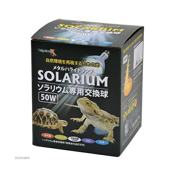 メーカー：ゼンスイ _hachu　ゼンスイ　ソラリウム　５０Ｗ　交換球　4934743004987　20191224　ＧＢＮＭ　両生類　爬虫類　紫外線灯・ＵＶ灯　ビームランプ型　Ｅ２６　ＳＯＬＡＲＩＵＭ　メタルハライドランプ　メタハラ　ＨＩ...