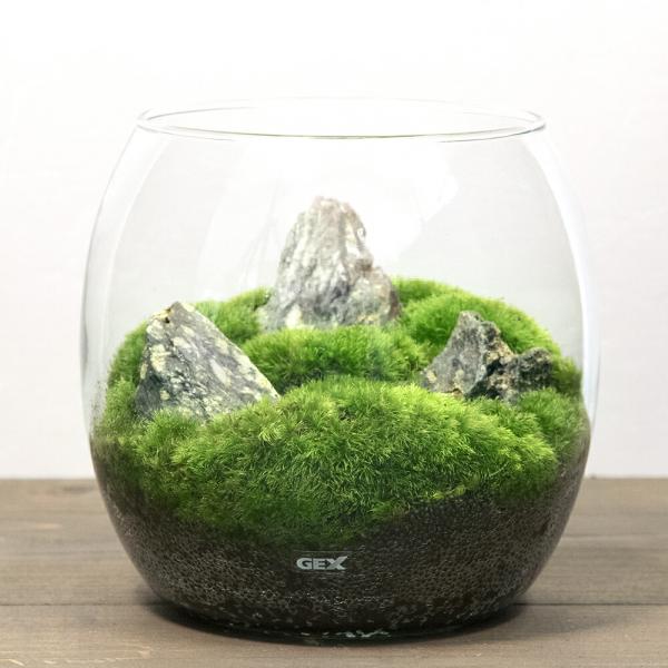 interioraquaglass　ＧＥＸ　グラスアクアリウム　ドロップ　Ｇセット　4972547032607　ガラス　容器　ガラス容器　ボトル　ボトルアクア　ボトルアクアリウム　ガラス製　苔テラリウム　コケテラリウム　ガーデニング　園芸用...