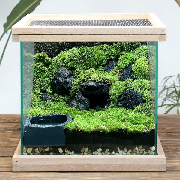 komkeset　_aqua　_hachu　_interior　rknd　苔テラリウム　コケテラ　オキナワシリケンイモリ　アマミシリケンイモリ　イモリ　シリケンイモリ　イボイモリ　マダライモリ　飼育セット　小型水槽　小型　セット　レイアウト...