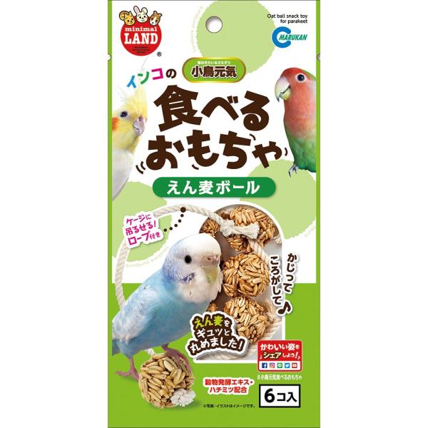 メーカー：マルカン _animal　マルカン　インコのえん麦ボール　６個　4906456561743　20200223　ｋｓｚｋ　鳥　おやつ　インコ　小型インコ　中型インコ　セキセイインコ　オカメインコ　マメルリハ　コザクラインコ　ボタンイ...