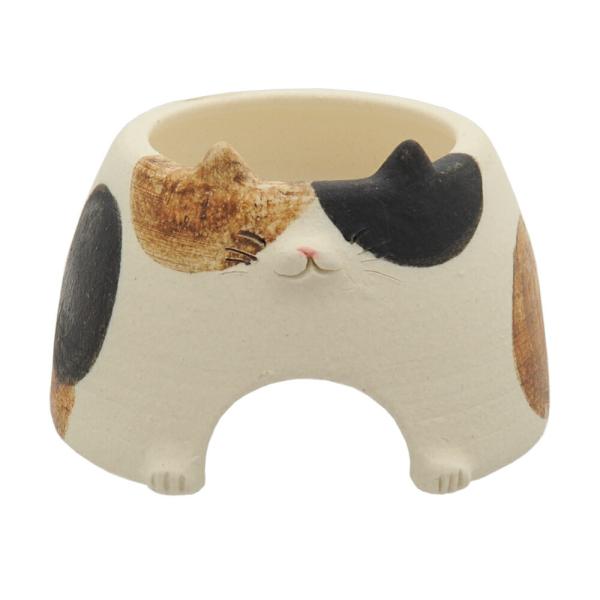 メーカー：SHELTER kjKPkin　亀・爬虫類　陸ガメ　爬虫類用品　シェルター　ウェットシェルター　_kame　_hachu　4974212600814　ヤモリ　水飲み　容器　スドー　両生類　爬虫類　ヒョウモントカゲモドキ　レオパ　レ...