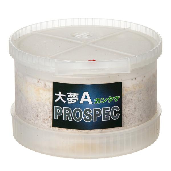 メーカー：ブリーダーズファーム coollogist　夏季クール対応　昆虫用品　kuwagatayotyuugood　飼育用品　カブト・クワガタ・用品　菌糸ビン　産卵木他　hiratake　cup　菌糸ビンhiratake　菌糸ビンcup　...