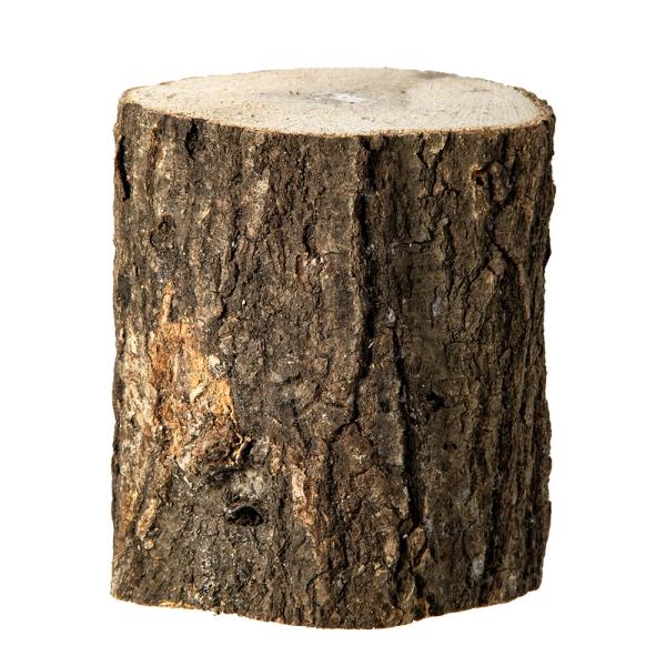 メーカー：(株)リーフ Leaf Corp コナラ産卵木　ブリードシーズン　クワガタ　産卵木　良材　コナラ　オオクワガタ　ヒラタクワガタ　朽ち木　hwlist　pus2304leaf08　y22m01　kuwata2024　pus2403l...