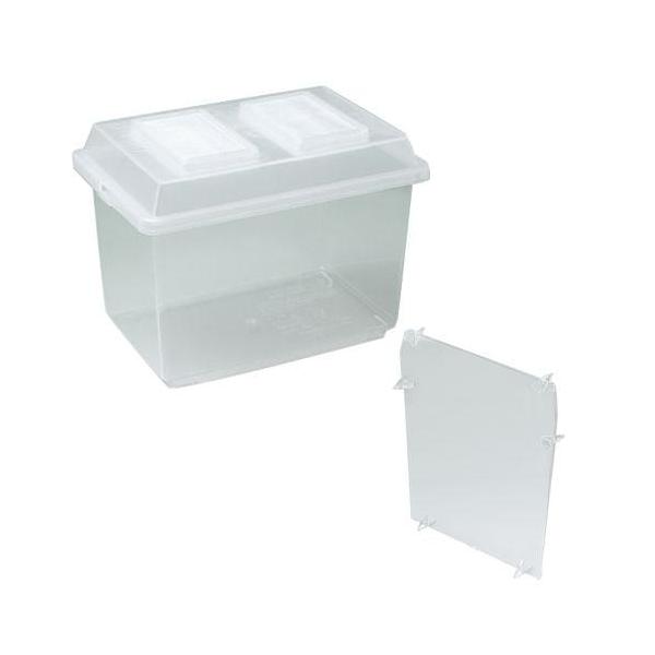 メーカー：シーラケース 昆虫用品　飼育用品　プラケース　コバエ防止機能付き　カブト・クワガタ・用品　コバエシャッター　_insect　成虫飼育　ペア　成虫管理　中型種　カブトムシ　かぶと虫　オオクワガタ　オオヒラタ　アンタエウス　kobas...