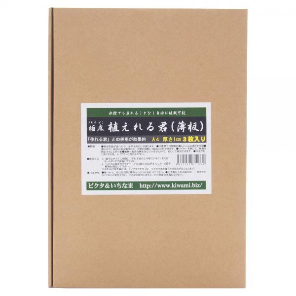 paludarium　パルダリウム　テラリウム　line2462terarium　nych　20180423　4571232871639　極床　植えれる君　Ａ４　厚さ１ｃｍ　３枚入り　両生類　爬虫類　レイアウト　パネル　工作用　ビバリウム　...