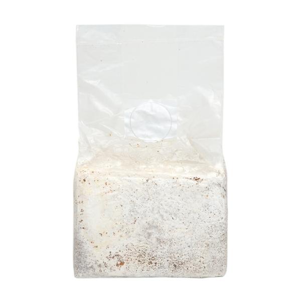 メーカー：微創研 菌糸ブロック　カワラ菌糸　coollogist　夏季クール対応　昆虫用品　kuwagatayotyuugood　飼育用品　クワガタ　菌糸ビン　びそうけん　カワラ　タランドゥス　レギウス　オウゴンオニ　モセリ　ババ　inst...