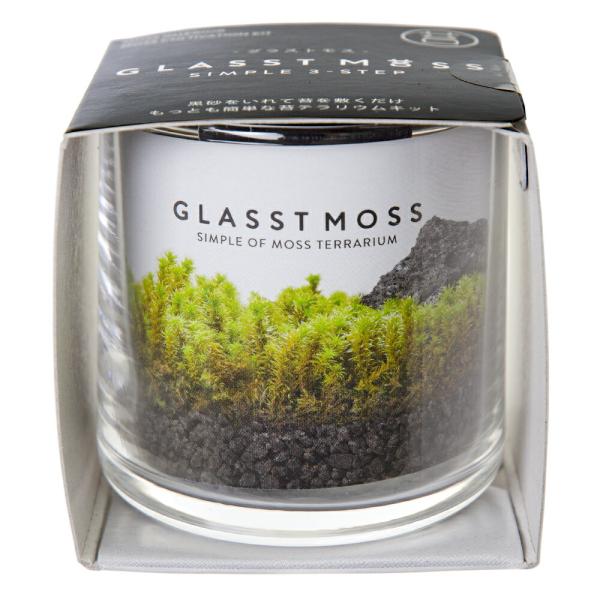 メーカー：聖新陶芸 line2462terarium　聖新陶芸　グラストモスＳ　コケテラリウム　4528757039211　20210429　ｙ21ｍ04　ＧＢＮＭ　インテリア・雑貨　グリーン　テラリウム　苔テラリウム　苔テラ　コケテラ　ガ...