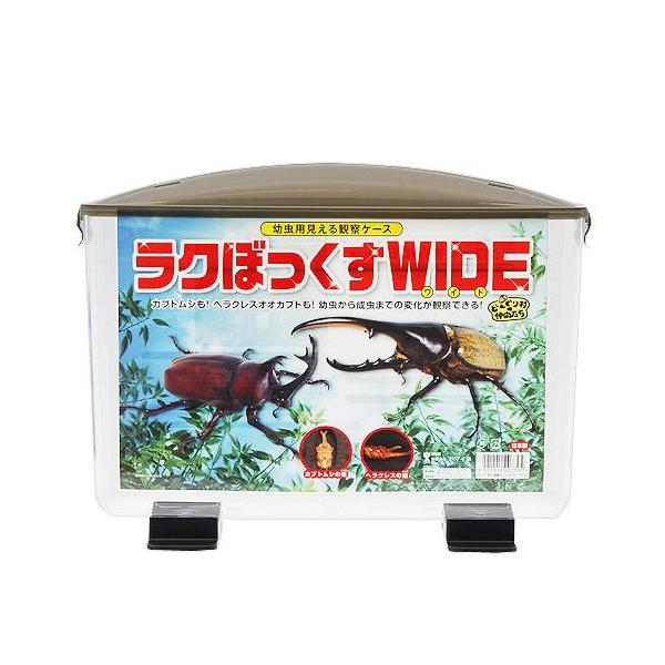 メーカー：フォーテック 4511516007705　見える観察ケース　ラクぼっくす　ワイド　昆虫　プラケース・飼育容器　サイズ　幅　で選ぶ　幅３０ｃｍ〜　カブト虫　カブトムシ　幼虫　蛹　サナギ　自由研究　夏休み　飼育ケース　虫かご　孵化　ふ...