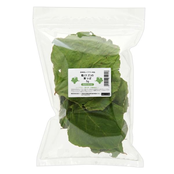 メーカー：(株)リーフ Leaf Corp paludarium　パルダリウム　テラリウム　line250910p510aqua　熱帯魚・エビ他　_aqua　_hachu　_kame　_insect　昆虫用品　マット　発酵マット　カブト・ク...