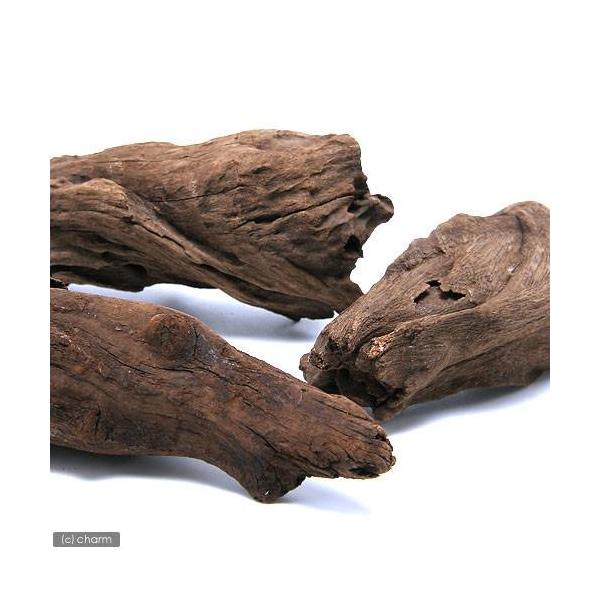 形状お任せ　爬虫類・昆虫・オカヤドカリディスプレイ用流木　１本　約１５〜２０ｃｍ　水に沈みません　流木　石　レイアウト素材　レイアウト　素材　熱帯魚　パルダリウム　コケリウム　水槽用アクセサリ　隠れ家　かくれが　流木レイアウト　スズムシ　爬...