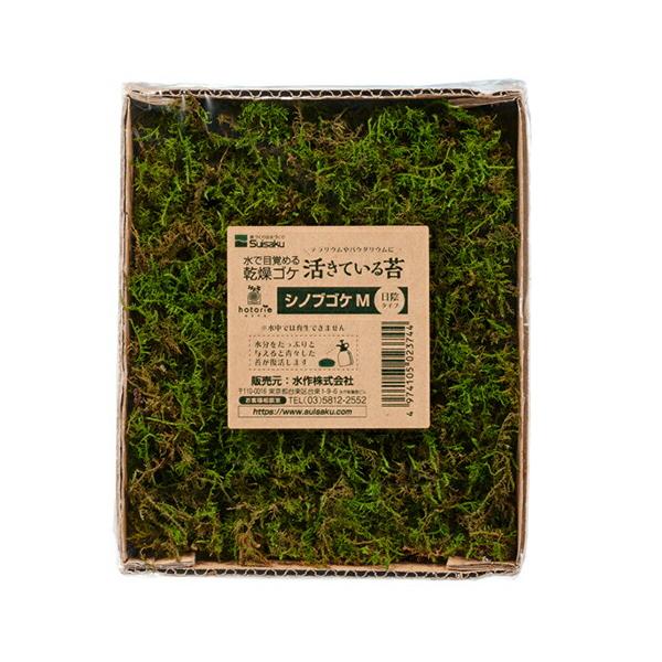 メーカー：水作 paludariumplants　パルダリウム　テラリウム　水作　活きているコケ　シノブゴケ　M　日陰タイプ　4974105023744　20220401　y22m04　mura　アクアリウム用品　_hachu　_garde...