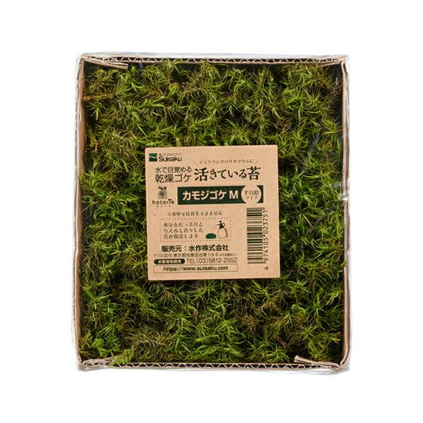 メーカー：水作 paludariumplants　パルダリウム　テラリウム　水作　活きているコケ　カモジゴケ　M　半日陰タイプ　4974105023751　20220401　y22m04　mura　アクアリウム用品　_hachu　_gard...