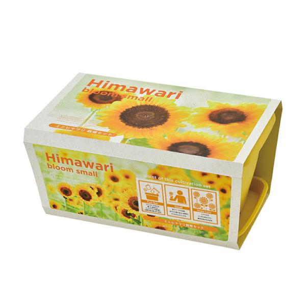 メーカー：聖新陶芸 聖新陶芸　ＥＮＪＯＹ　ＰＬＡＮＴＥＲ　ＦＬＯＷＥＲ　ＭＩＮＩ　ＨＩＭＡＷＡＲＩ　4528757039204　20220228　ｙ22ｍ02　wakaoo　エンジョイプランター　フラワー　ミニヒマワリ　鉢植え　園芸用品　育...