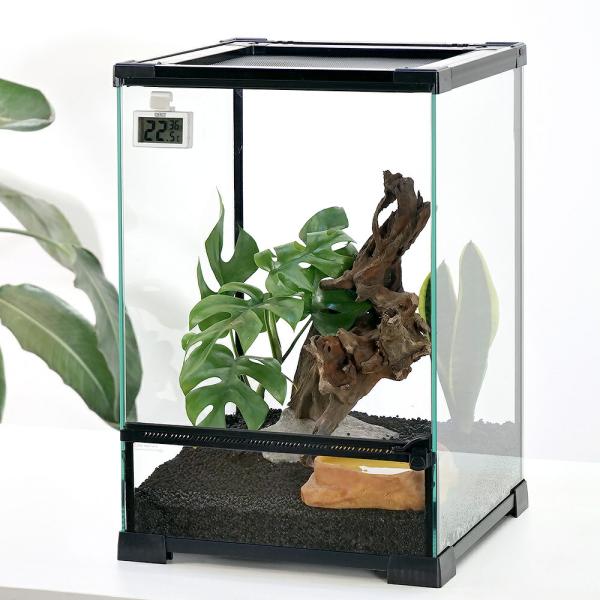 メーカー：用品+生体植物セット 樹上性カエルの基本飼育セット　レイアウト素材付き　rknd　樹上性ガエル　樹上性カエル　ツリーフロッグ　カエル　レイアウト　セット　レイアウトセット　飼育セット　イエアメガエル　テラスペース　植物付き　イエア...