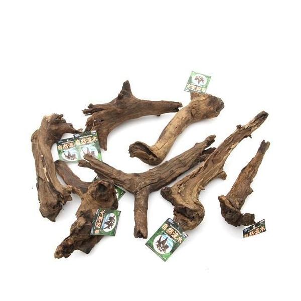 メーカー：ニッソー ニッソー　アクアリウム　流木　木　水槽　レイアウト　水草　熱帯魚　隠れ家　ディスプレイ　素材　アクセサリー　_aqua　_gardening　アクア用品　形状お任せ　自然流木　特大　１本　約３５〜５０ｃｍ　おまかせ　ni...