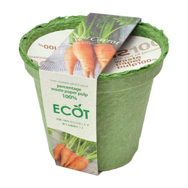 メーカー：聖新陶芸 ＥＣＯＴ　にんじん栽培セット　Ｍ　4528757025023　20220606　ｙ22ｍ06　Y.K.　ガーデニング　園芸　インテリア　雑貨　グリーン　ポット　鉢　鉢植え　栽培セット　水耕栽培　育てる　観葉植物　花　野菜...