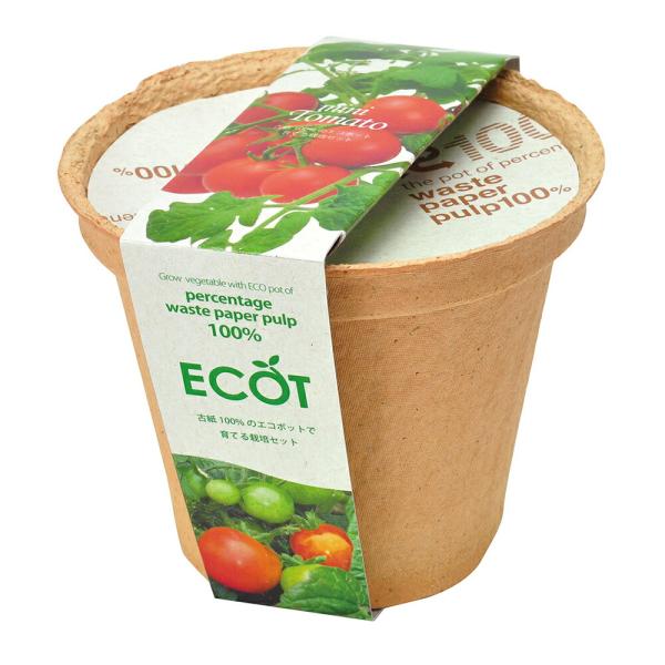 メーカー：聖新陶芸 ＥＣＯＴ　ミニトマト栽培セット　Ｍ　4528757033349　20220606　ｙ22ｍ06　Y.K.　ガーデニング　園芸　インテリア　雑貨　グリーン　ポット　鉢　鉢植え　栽培セット　水耕栽培　育てる　観葉植物　花　野...