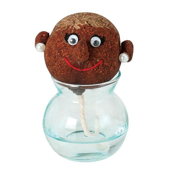 ｈａｉｒ　ＬＡＢＯ　ママ　4977445689977　20220707　ｙ22ｍ07　mura　ガーデニング　園芸　インテリア　雑貨　グリーン　ポット　鉢　鉢植え　栽培セット　育てる　おうち時間　インドア　_gardening　栽培　栽培キ...