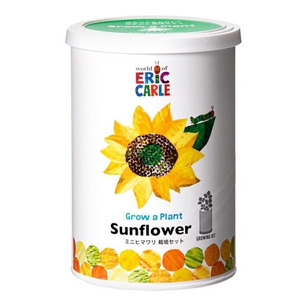 メーカー：聖新陶芸 haraaokit　聖新陶芸　はらぺこあおむし　なかよし栽培セット　ミニヒマワリ　栽培　ガーデニング　ガーデン　園芸　園芸用品　育成　室内で　室内　部屋　気軽　植物　グリーン　趣味　子どもと一緒に　子ども　子供　たね　種...