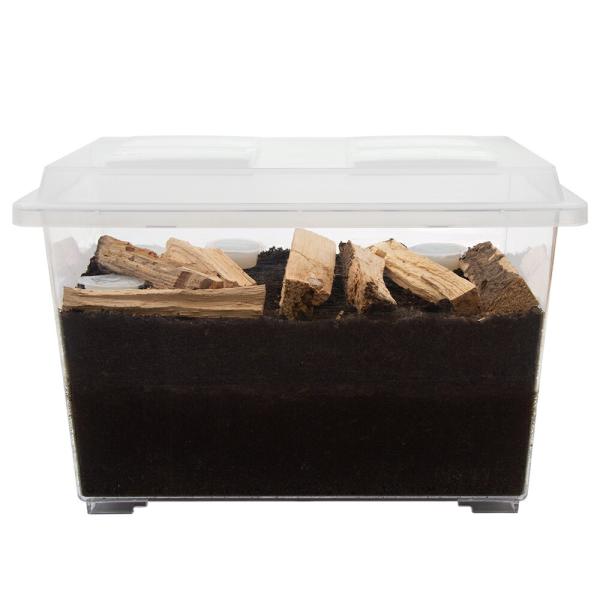 メーカー：用品セット 外国産カブト　カブトムシ　産卵　ブリート　産卵セット　昆虫　ヘラクレス　リッキー　ディナステス　ネプチューン　サタン　コーカサス　アトラス　カルコソマ　キロン　ゾウカブト　メガソマ　エレファス　ゴロファ　ゴホンヅノ　ケ...