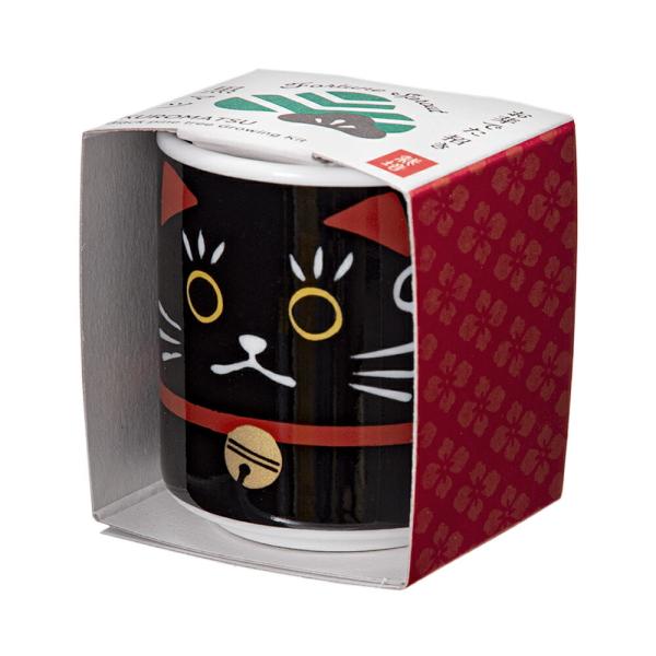 メーカー：聖新陶芸 聖新陶芸　お芽でたおちょこ　招き　黒　黒松　4528757038818　20230217　ｙ23ｍ02　mura　ガーデニング　園芸　ガーデニング用品　園芸用品　キッチンガーデン　インテリア・雑貨　グリーン　栽培　セット...