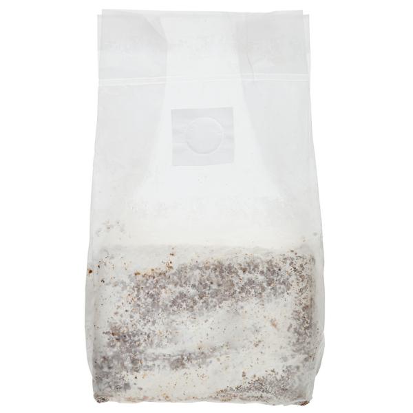 メーカー：月夜野きのこ園 菌糸ブロック　coollogist　夏季クール対応　Ｅ−Ｂｌｏｃｋ　３５００ｃｃ　月夜野きのこ園　菌糸　菌糸ビン　クヌギ　オオヒラタケ　昆虫　甲虫　クワガタ　クワガタムシ　クワ　オオクワガタ　幼虫　飼育用品　飼育　...