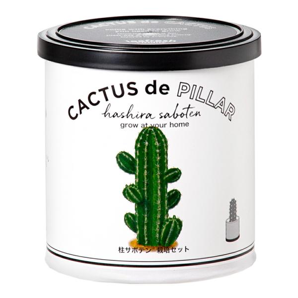 メーカー：聖新陶芸 聖新陶芸　カクタス　ｄｅ　柱サボテン　4528757039167　20230511　y23m05　mura　ガーデニング用品　園芸用品　ガーデニング　園芸　グリーン　キッチンガーデン　インドア　室内　ガーデン　栽培　栽培...