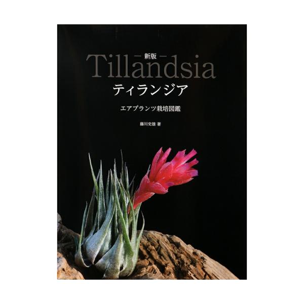 メーカー：エムピージェー 新版　ティランジア　エアプランツ栽培図鑑　書籍　9784909701718　20230522　y23m05　mura　ガーデニング用品　園芸用品　ガーデニング　園芸　グリーン　植物　図鑑　多肉植物　多肉　ピーシーズ...