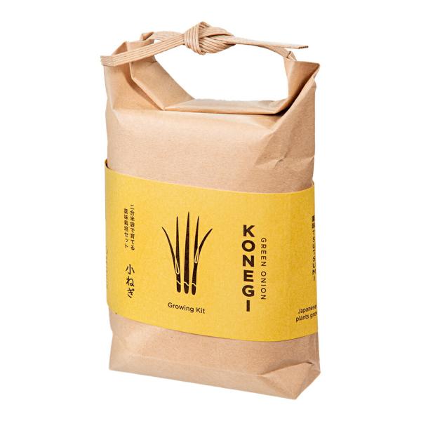 メーカー：聖新陶芸 4528757040811　聖新陶芸　TSUTSUMI　小ねぎ　ガーデニング　ガーデニング用品　園芸用品　園芸　植物　花　鉢　植木鉢　葉　華　管理　栽培　栽培キット　二合米袋　薬味栽培　薬味　おしゃれ　映え　可愛い　和風...