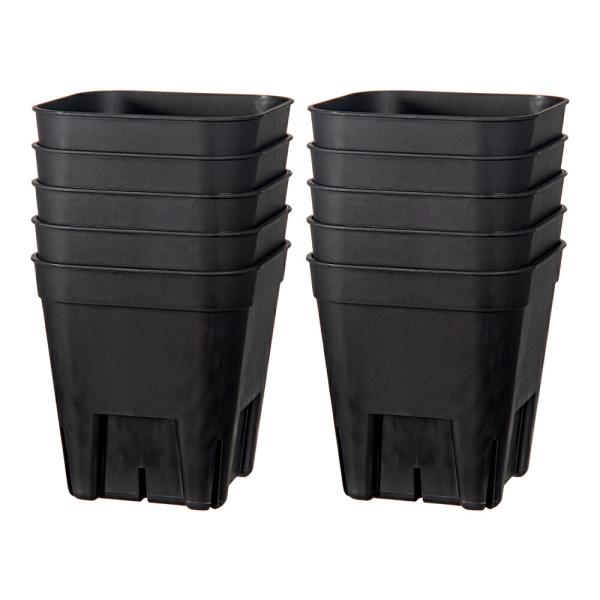 メーカー：ニッポリ プレステラ　７５型　黒　303820用　スリット鉢　ガーデニング　園芸用品　鉢　ポット　苗ポット　育苗　３号　１０５型　プラ鉢　プラステ　スリッド　スリット　プラポット　緑　硬め　プラスチック　多肉植物　多肉　エケベリア...